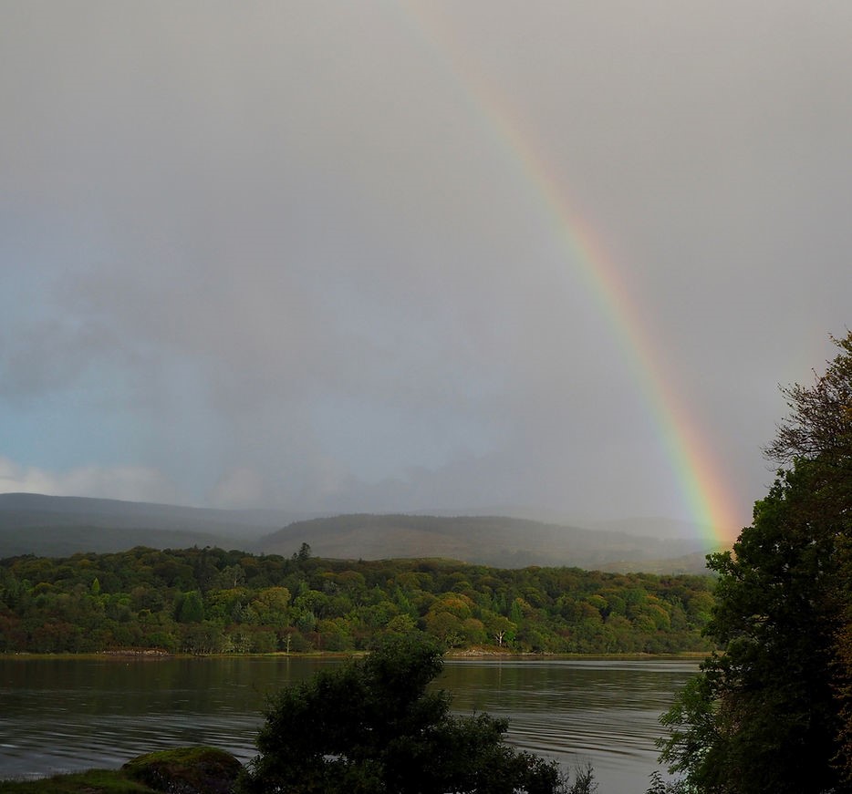 Action West Loch - CCN Scotland